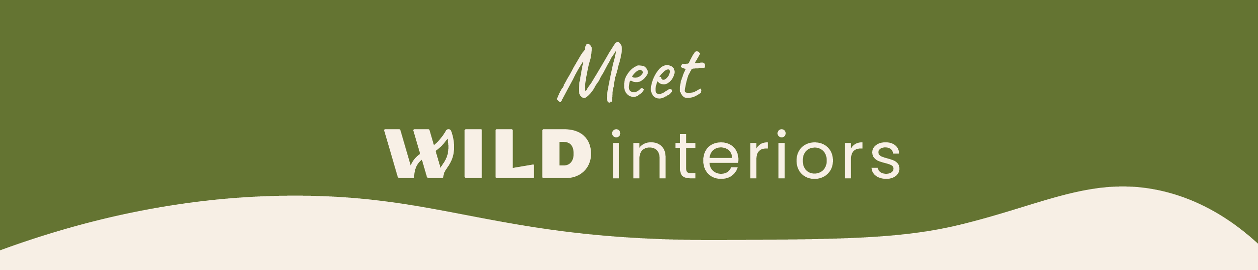Meet Wild Interiors
